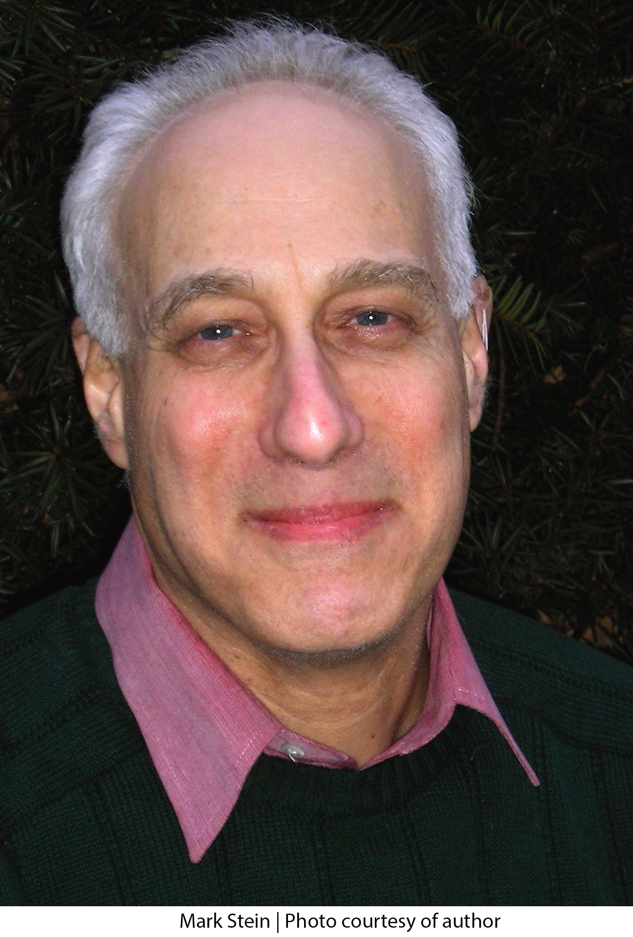 From the Desk of Mark Stein: Writing Vice Capades – UNP blog