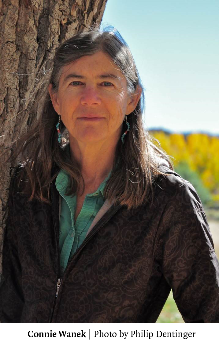 From the Desk of Connie Wanek: Hartley Field – UNP blog