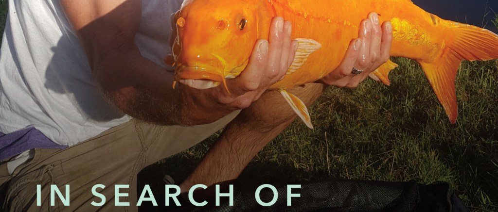 Where in the Monster Fish World is Mark Spitzer? – UNP blog