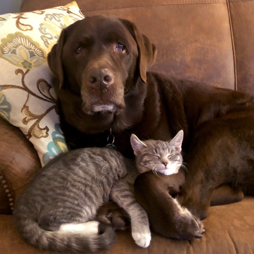 Meg Heckman at Home: On Writing and Nackey Scripps Loeb – UNP blog