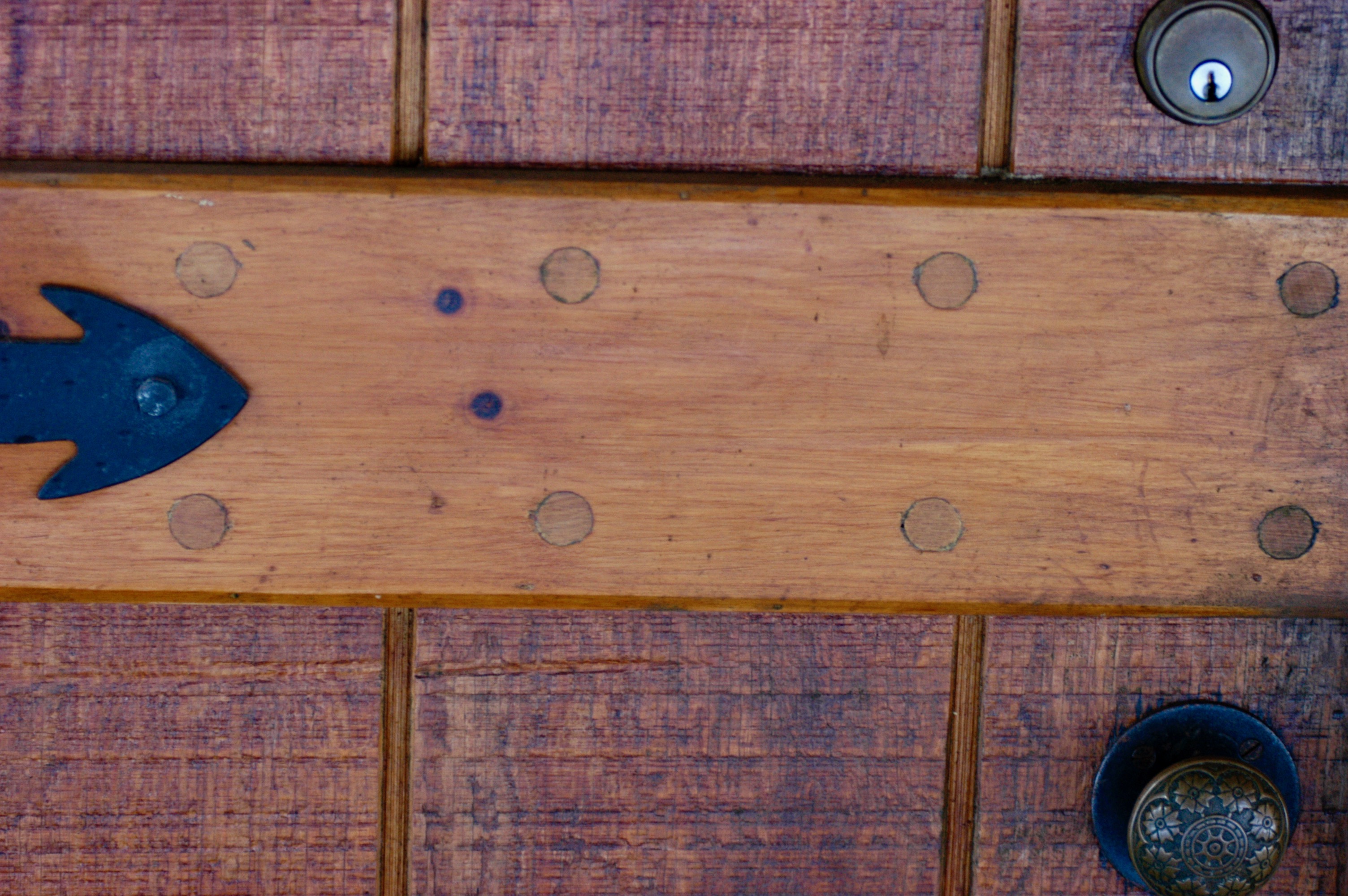 Backcountry Bisons: Julie Riddle, The Solace of Stones – UNP blog